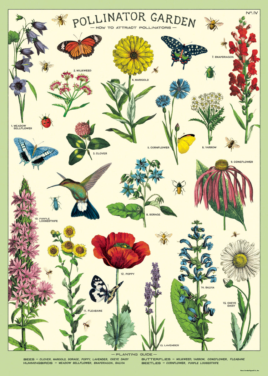 פוסטר: Pollinators – Yooletta